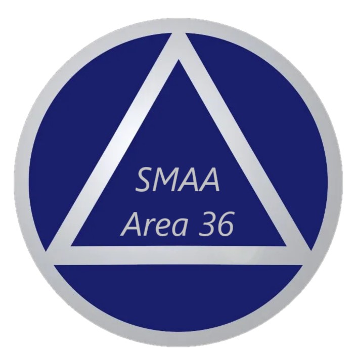 Delegates Report from the General Service Conference – District 14 ...